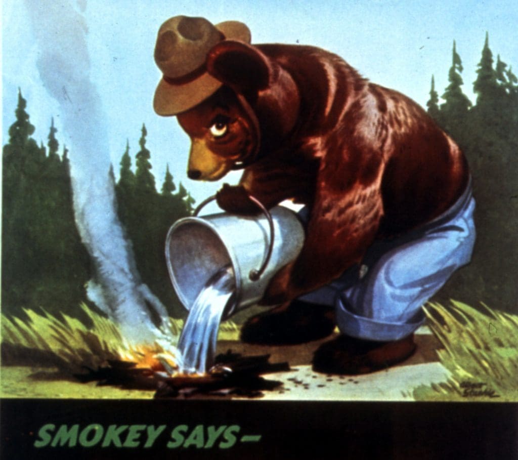 Smokey Bear Turns 80: What This Iconic Symbol Means for Forest ...